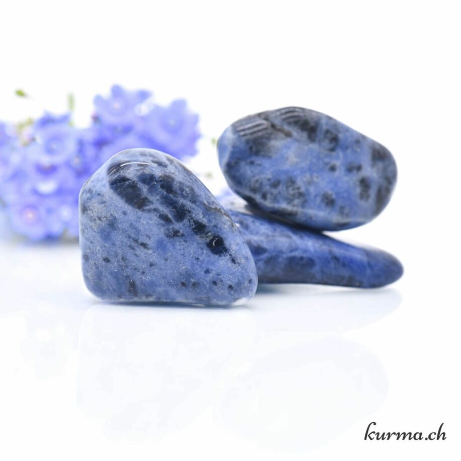 Sodalite claire - Pierre roulée - Taille S • Kurma.ch