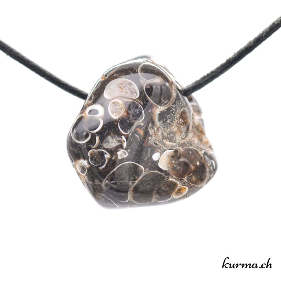 Agate turitelle pierre percée • Kûrma