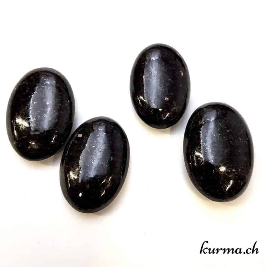 Galet Galaxite • Lithothérapie • Kûrma • Boutique de pierres