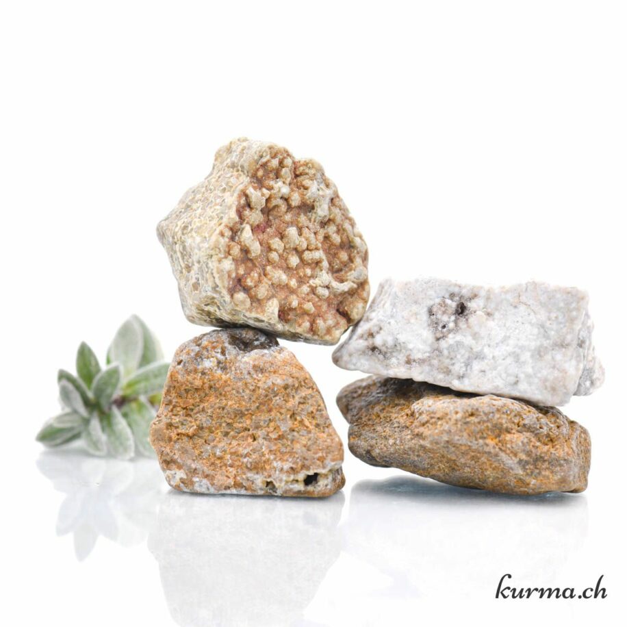 Eldarite Kambada brute • Chakra du cœur