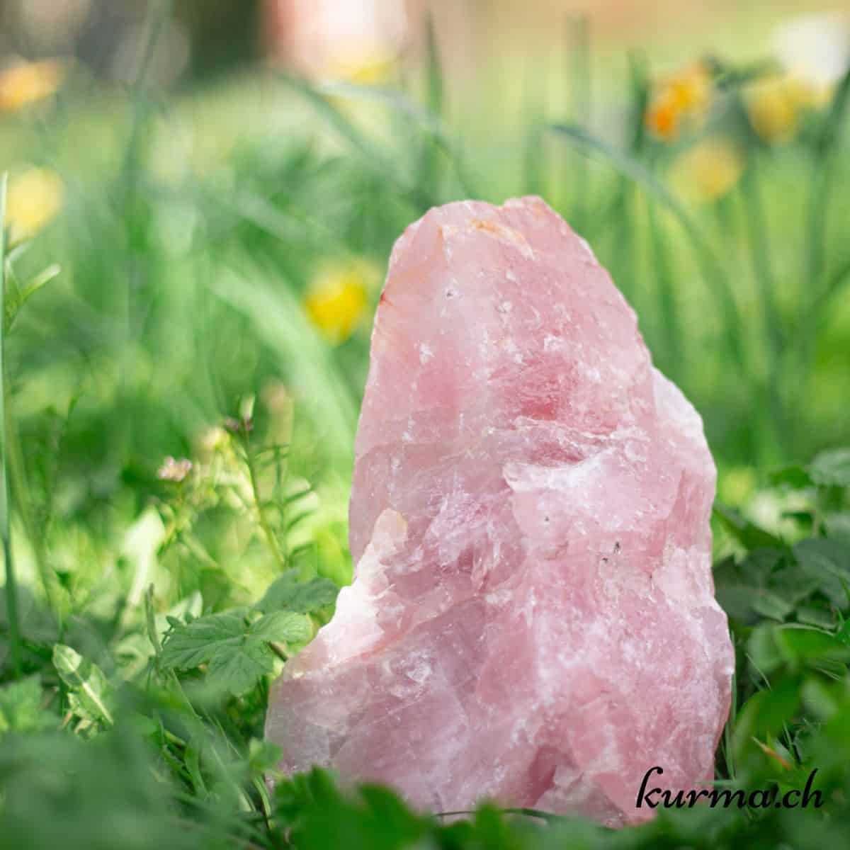 Quartz rose naturel • Minéraux bruts • Kûrma lithothérapie