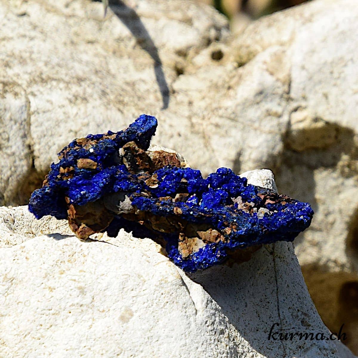 Azurite naturelle • Minéraux bruts • Kûrma, Fontainemelon