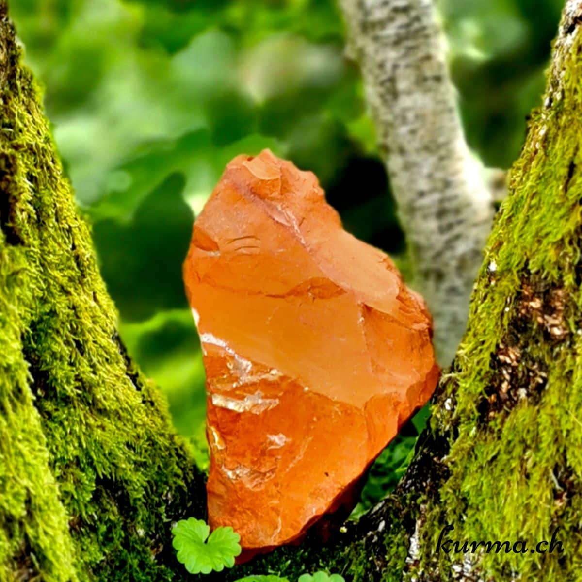 Jaspe rouge • Vertus et propriétés en lithothérapie