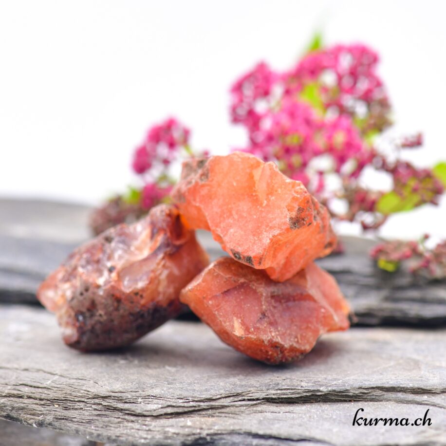 Bracelet Agate Cornaline 6mm • Chakra Sacré • Kûrma