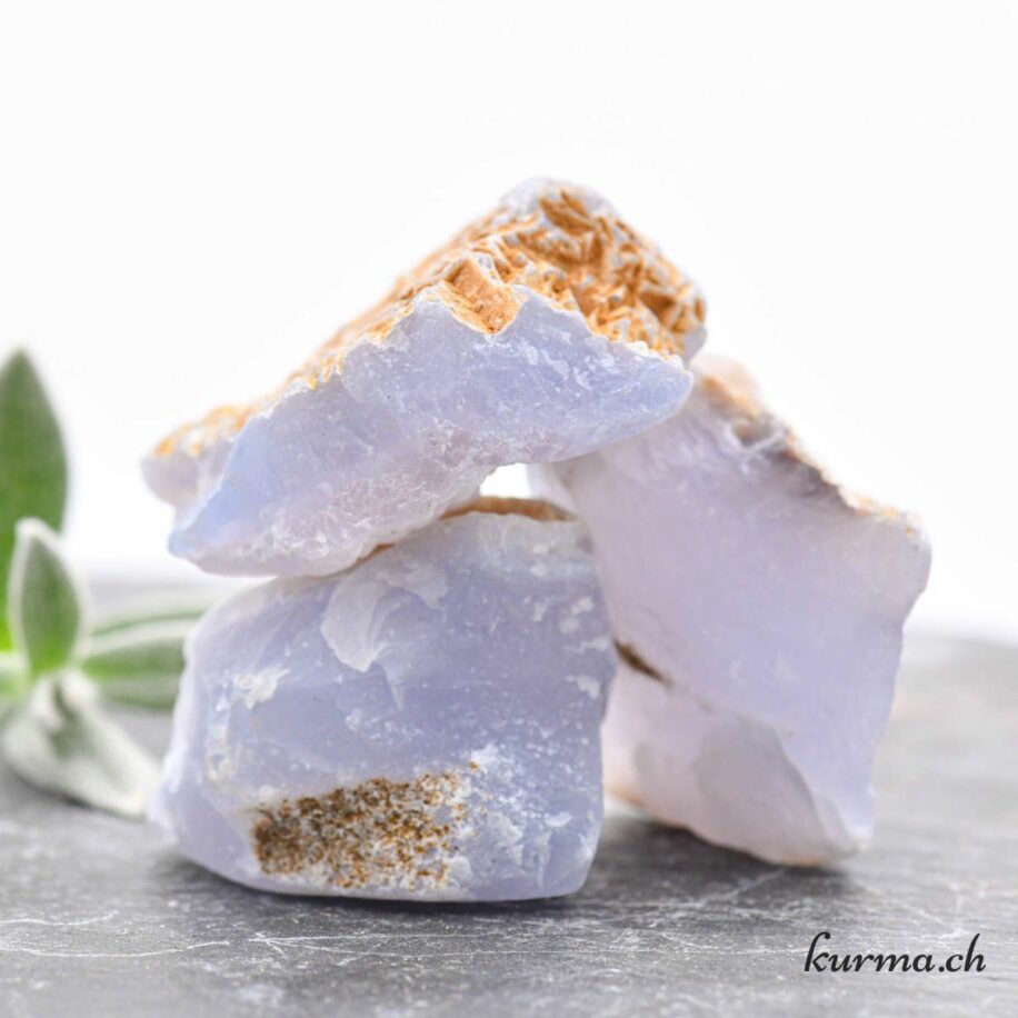 Eldarite Kambada brute • Chakra du cœur