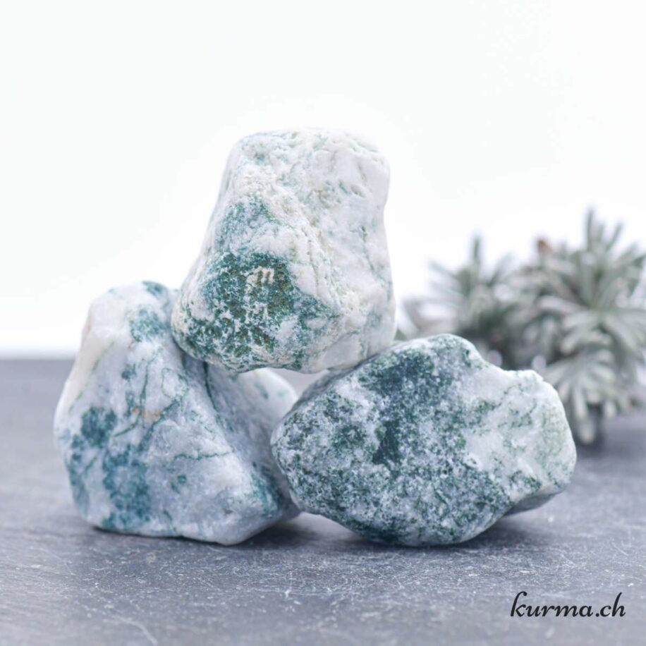 Agate arborisée - Pierre brute de poche Arrondis - Taille L - N°7780.6 ...