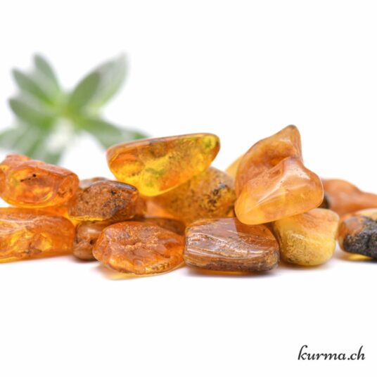 Ambre • Propriétés, vertus, pouvoirs et bienfaits • Kurma.ch