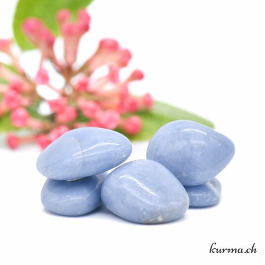 Angélite / Anhydrite - Pierre roulée - Taille S • Kurma.ch