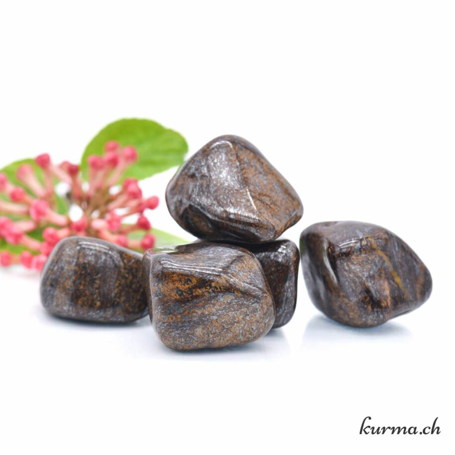 Bronzite - Enstatite - Pierre roulée - Taille XL • Kurma.ch