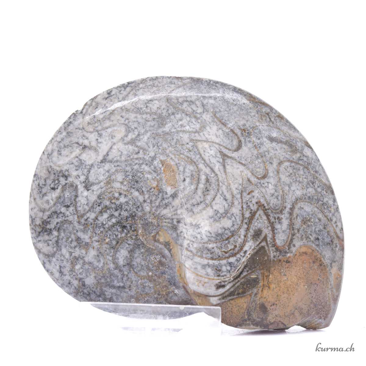 Ammonitenpaar – Mineralien – 279 g – Nr. 9091.4 • Kurma.ch